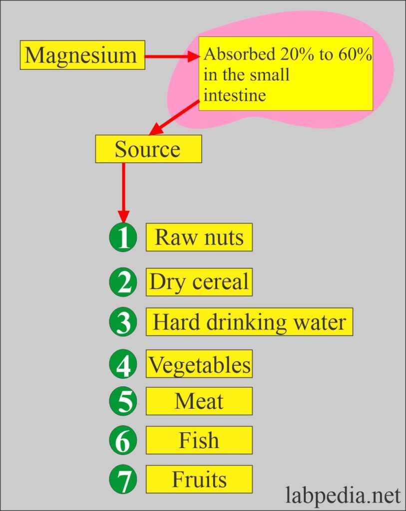 Magnesium level (Mg++) - Labpedia.net