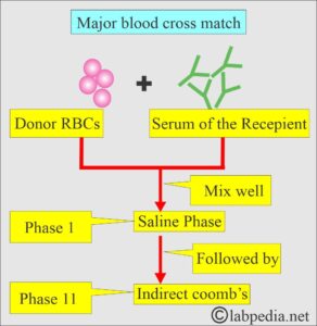 Blood banking:- part 2 - Donor selection, Cross Match Procedure, and ...
