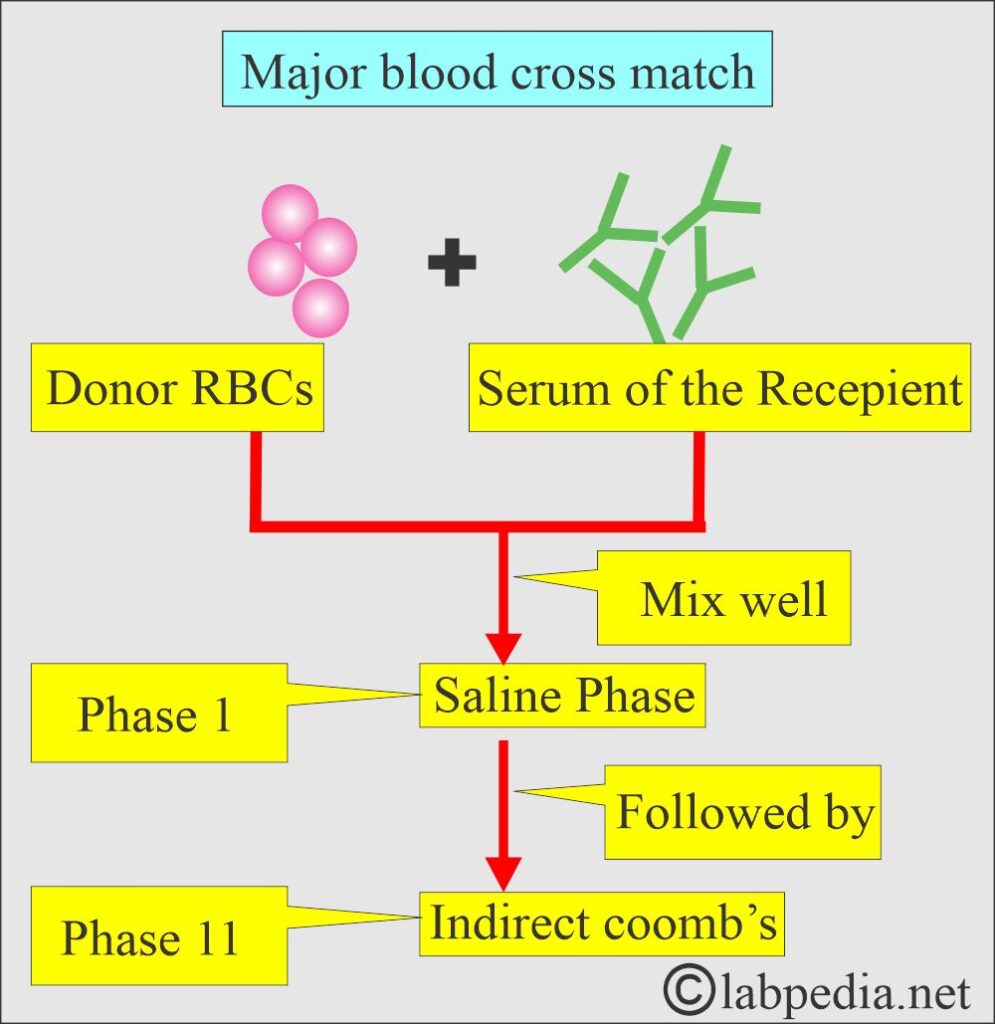 Blood banking:- part 2 - Donor selection, Cross Match Procedure, and ...