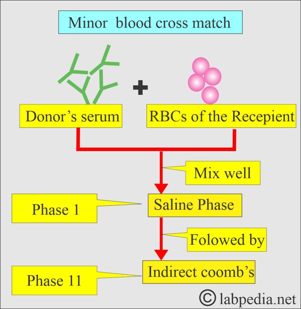 Blood banking:- part 2 - Donor selection, Cross Match Procedure, and ...