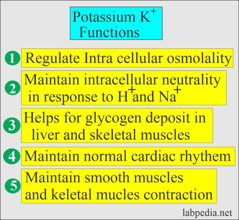 Potassium (K+) in blood and its significance