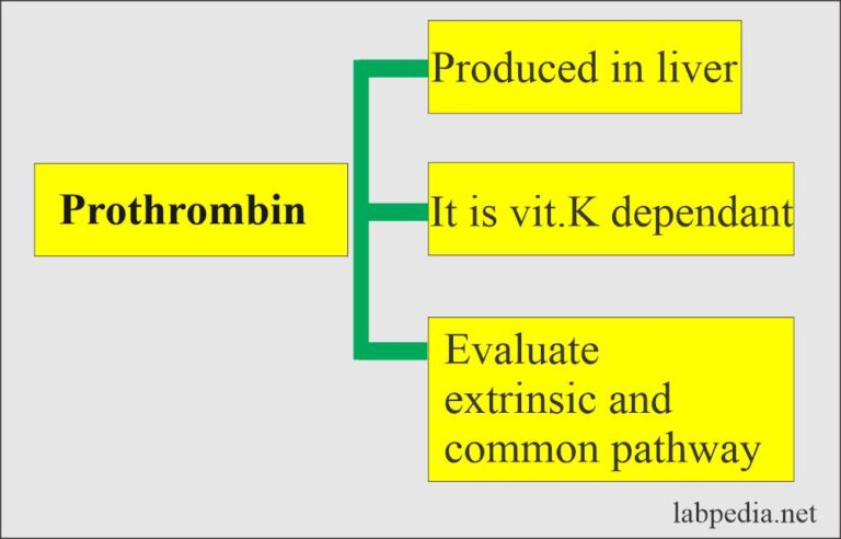 Coagulation:- part 5 - INR (International Normalized Ratio), PT and PTT ...