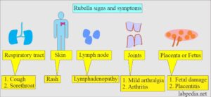 TORCH Profile:- Part 1 - Rubella virus (German Measles) - Labpedia.net