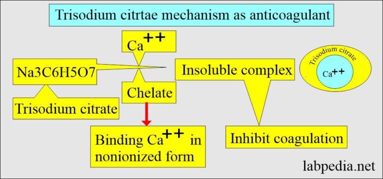 Blood sample Types, Anticoagulants, Preservatives, Adverse effects of ...