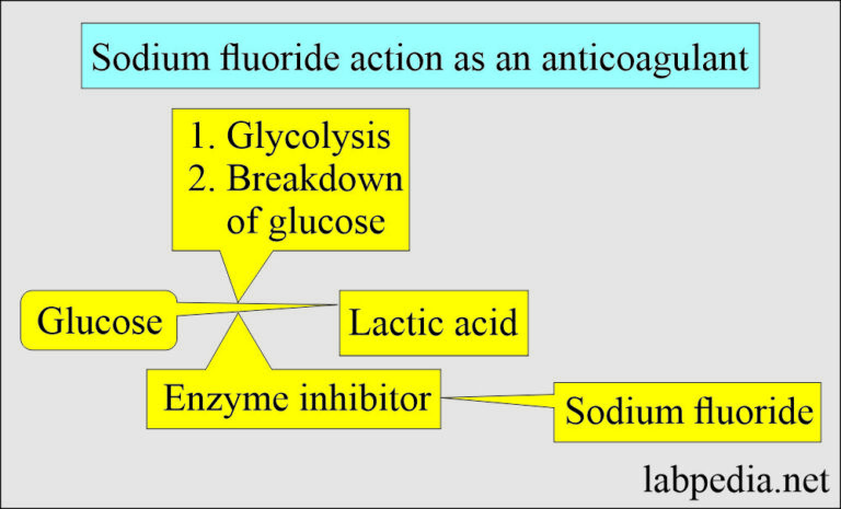 Blood sample Types, Anticoagulants, Preservatives, Adverse effects of ...