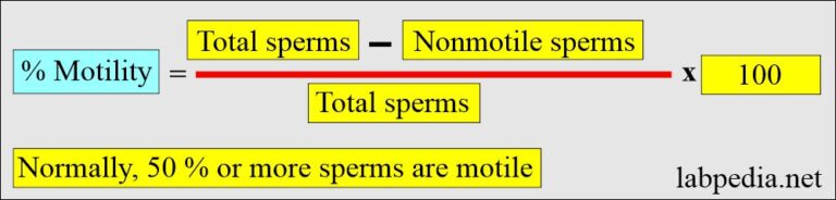 Semen:- Part 1 - Semen analysis, and Semen Counting Procedure ...