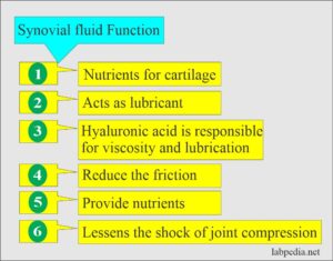Fluid Analysis:- part - 8 - Synovial Fluid Analysis, Procedure for ...