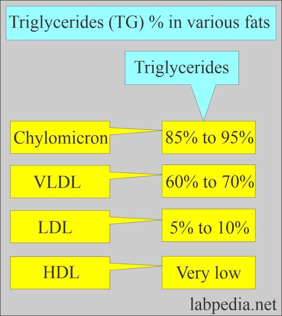 Lipoprotein:- Part 5 - Triglycerides (TG) - Labpedia.net