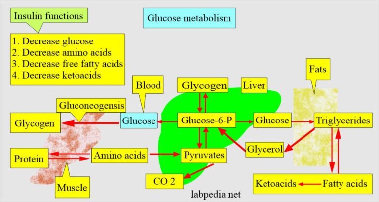 diabetes mellitus criteria and diagnosis