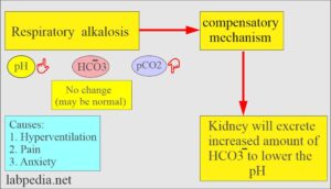 Acid-Base Balance:- Bicarbonate level (HCO3-)