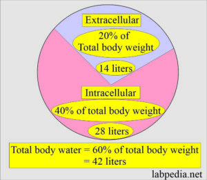 Body fluids, Their Importance, and Risk of Infections - Labpedia.net