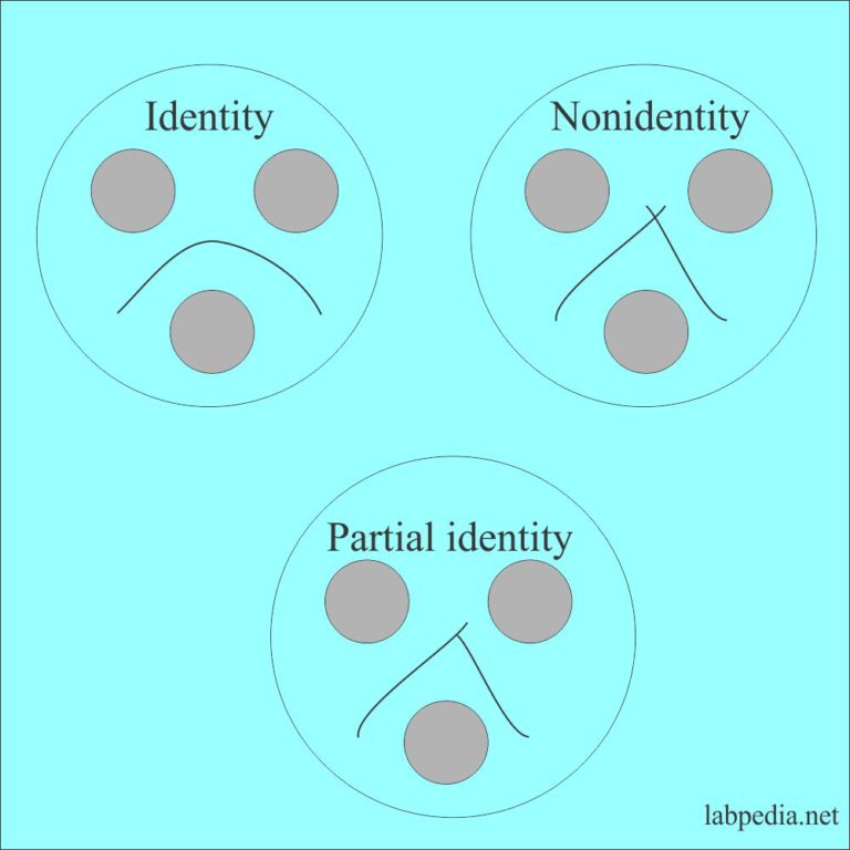 Chapter 6: Immunological (Antigen and Antibody) Reactions, Monoclonal ...