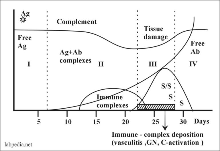 Chapter 13: Hypersensitivity Reaction Type III, Immune Complex Disease ...