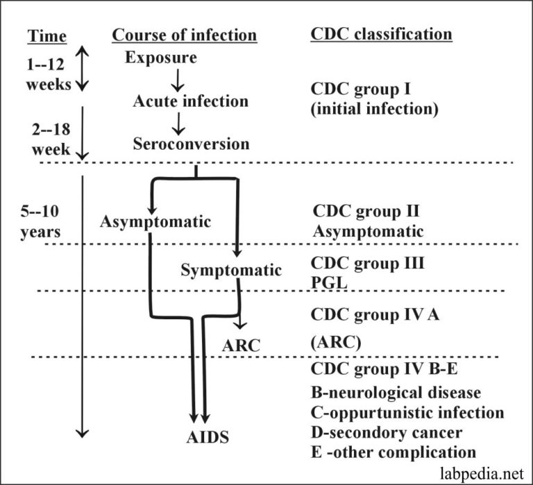 Chapter 29: Acquired Immune Deficiency Syndrome (AIDS), HIV Infection ...