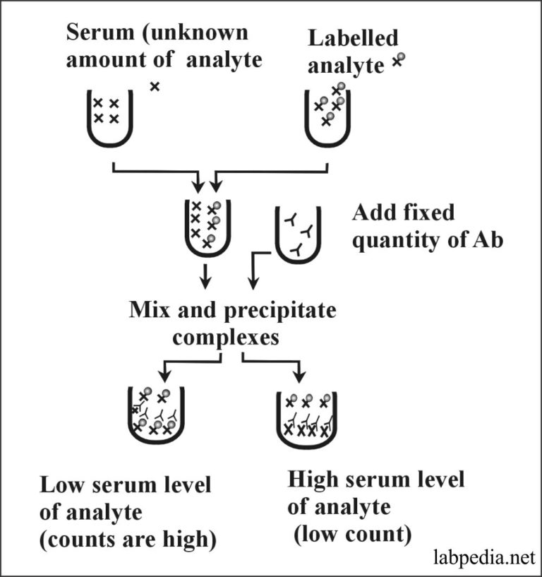 Chapter 30: Serological Tests and Its Basis - Labpedia.net