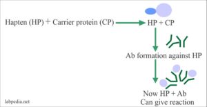 Chapter 3: Immunogen and Antigen - Labpedia.net