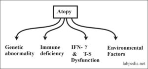 Chapter 11:- Type 1 Hypersensitivity reaction, Anaphylaxis, Atopy, and ...