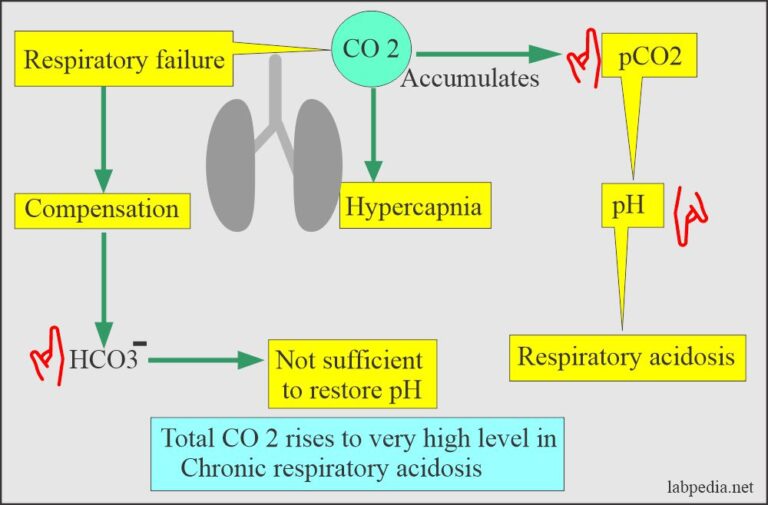 Acid-Base Balance:- Part 4 - Arterial Blood gases (Blood Gases), Acid ...