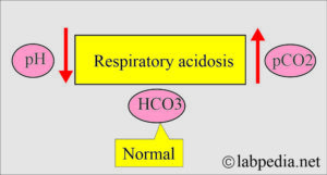 Understanding Respiratory Acidosis and Alkalosis Mechanisms