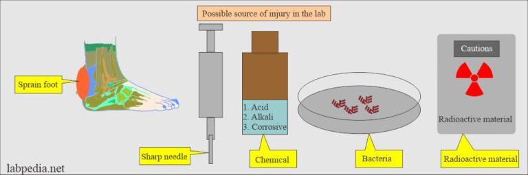 Safety in the Clinical Laboratory - Labpedia.net
