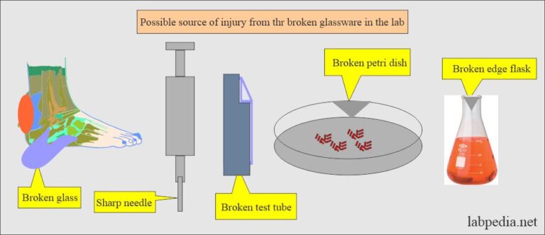 Safety in the Clinical Laboratory - Labpedia.net