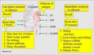 Chapter 11:- Type 1 Hypersensitivity reaction, Anaphylaxis, Atopy, and ...
