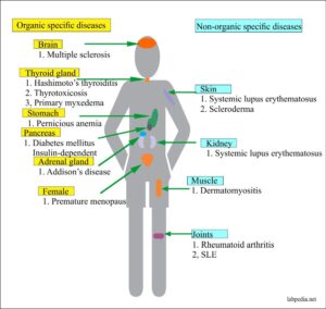 Chapter 16: Autoimmunity, Immunologic Tolerance, and Mechanism of ...