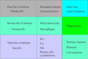 Chapter 2: Innate (Nonspecific) Immunity - Labpedia.net