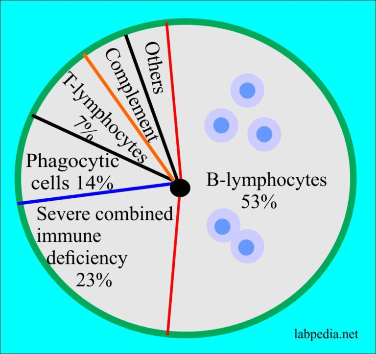 Chapter 28: Immune Deficiency, Immune Deficiency disorders - Labpedia.net
