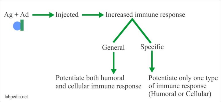 Chapter 3: Immunogen and Antigen - Labpedia.net