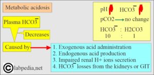Understanding Bicarbonate Level (HCO3-) in Acid-Base Balance