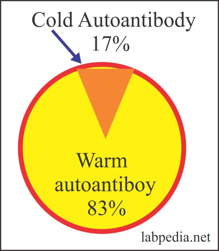 Chapter 27: Autoimmune diseases: Autoimmune Hemolytic Anemia (AHA ...