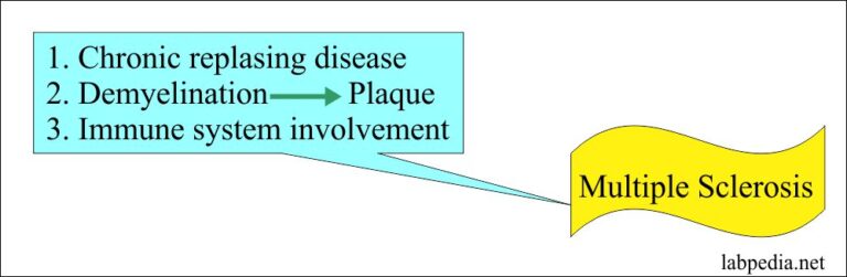 Chapter 26: Multiple Sclerosis (MS) - Labpedia.net