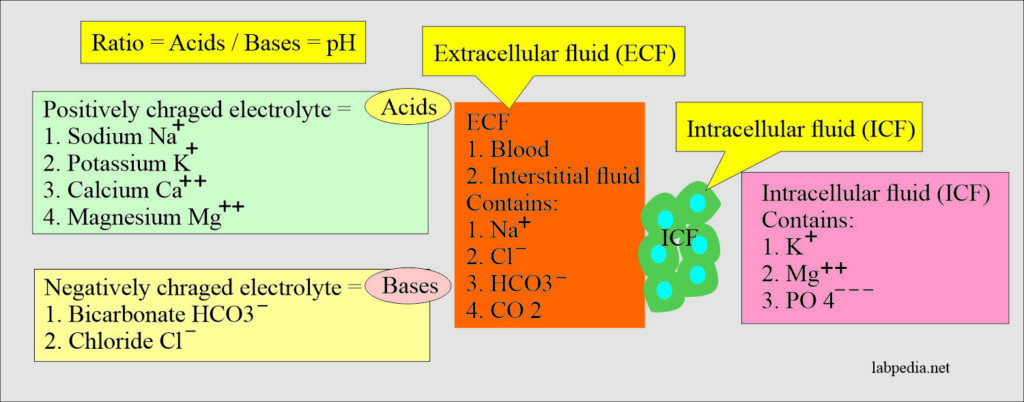 Acid-base Balance:- Part 1 A - Introduction to the Acid-Base Balance ...