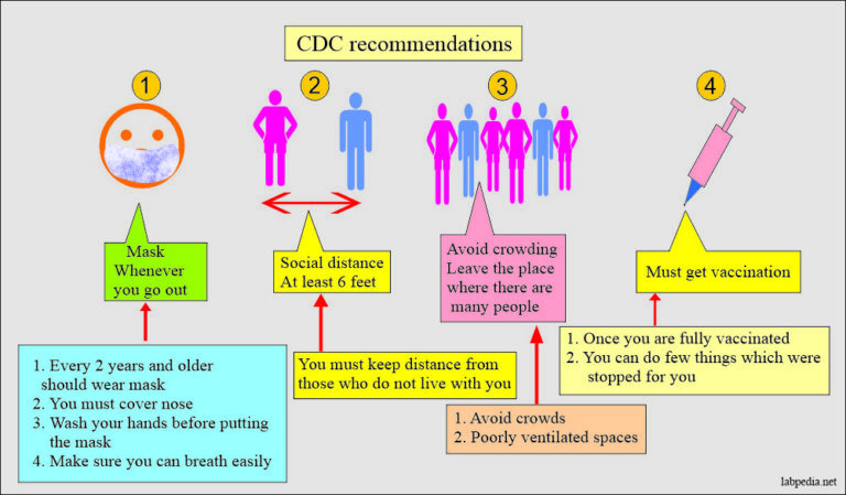 Corona Virus, CDC Recommendations - Labpedia.net