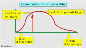 Enzymes-part-4- Creatine Kinase, Gamma GT, Lactate Dehydrogenase, and ...