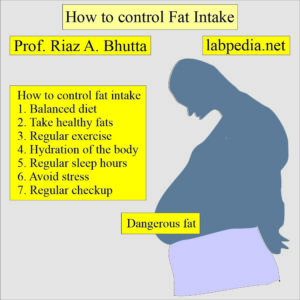 How to Control Fat Intake - Labpedia.net