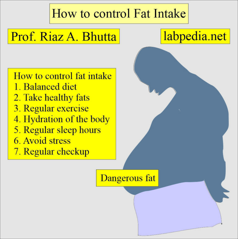 How to Control Fat Intake - Labpedia.net