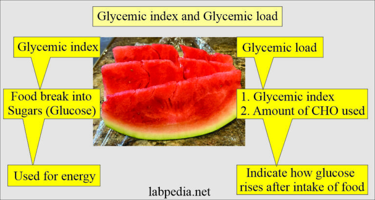 Glycemic Index and Glycemic Load Part 1 - Labpedia.net